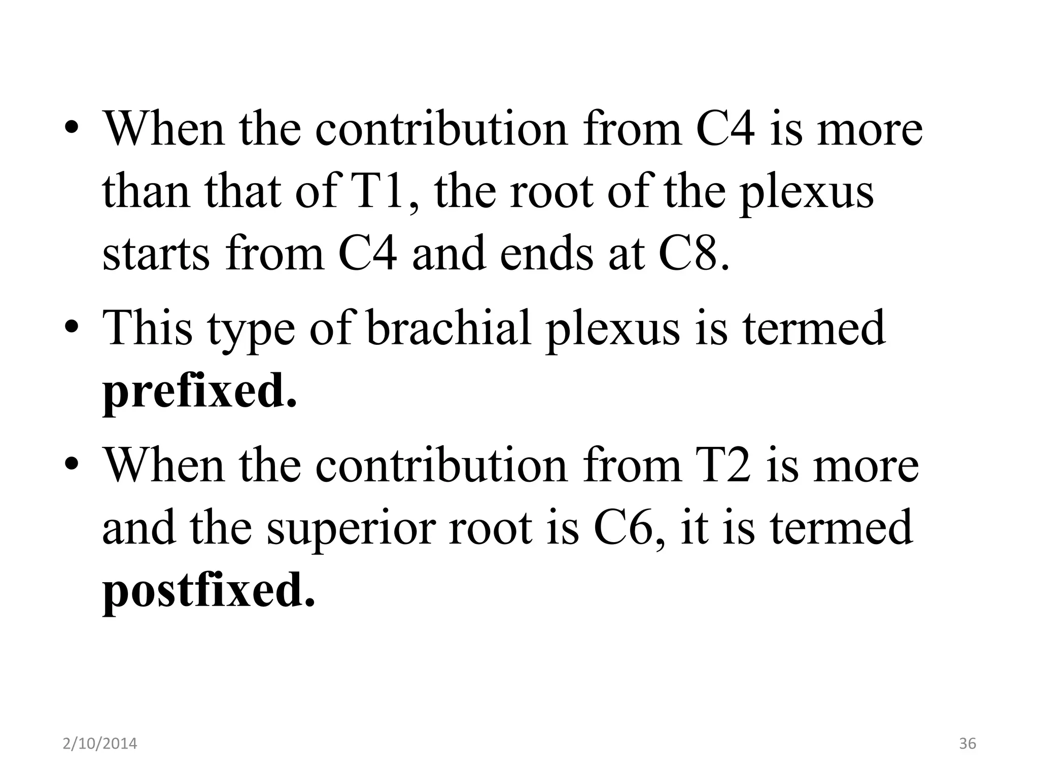 Brachial plexus (2) | PPTX