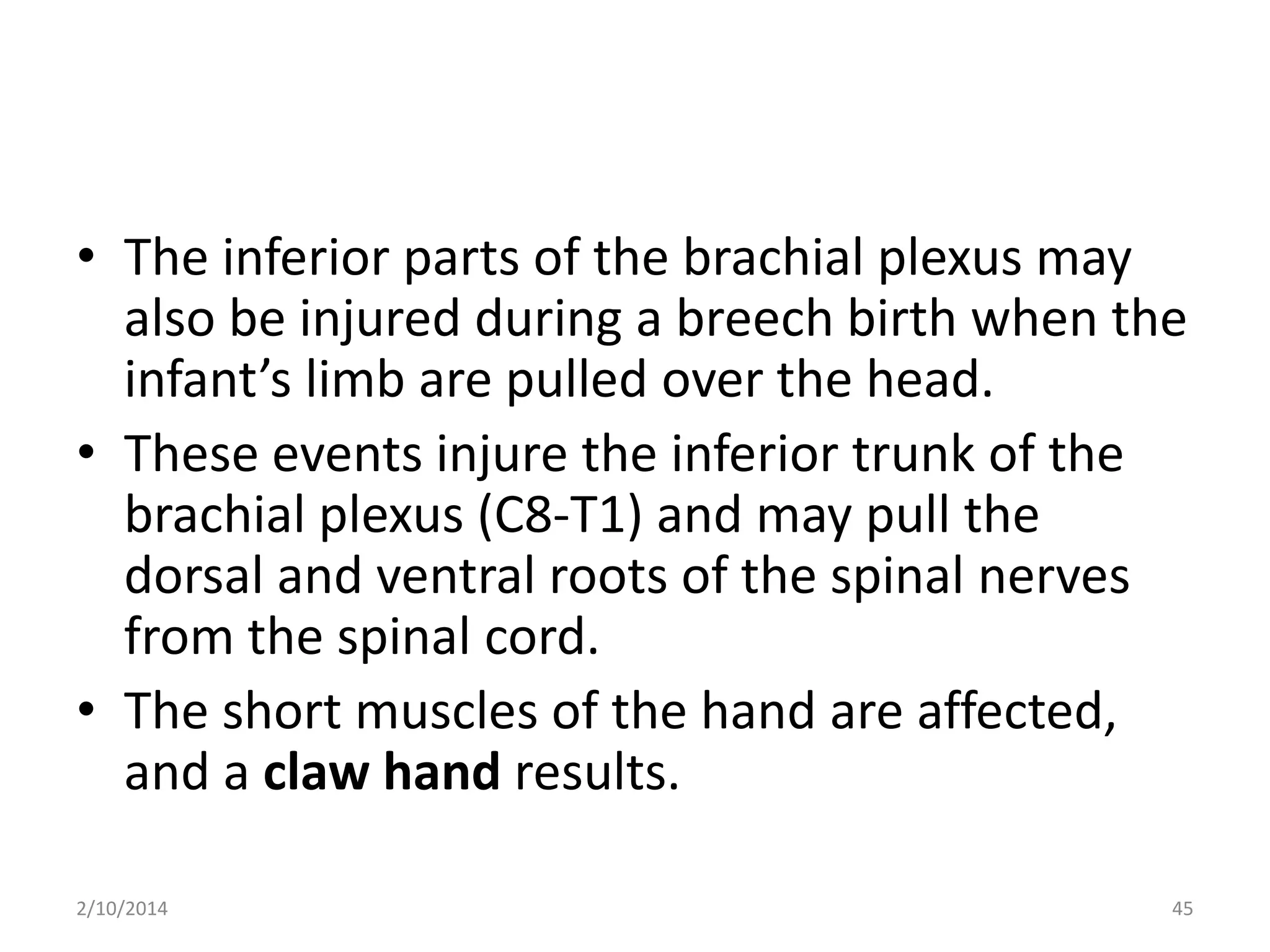 Brachial plexus (2) | PPTX