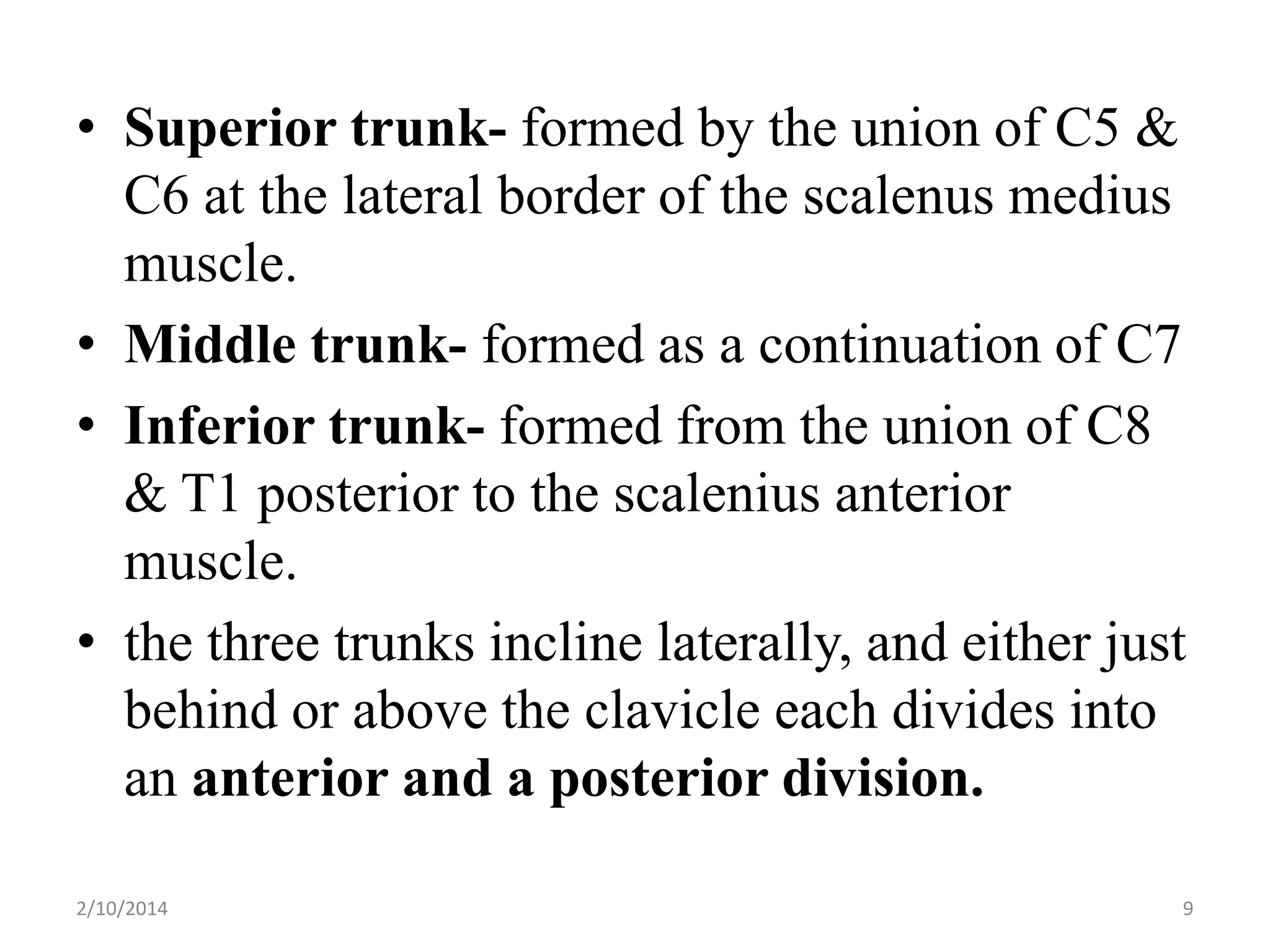 Brachial plexus (2) | PPTX