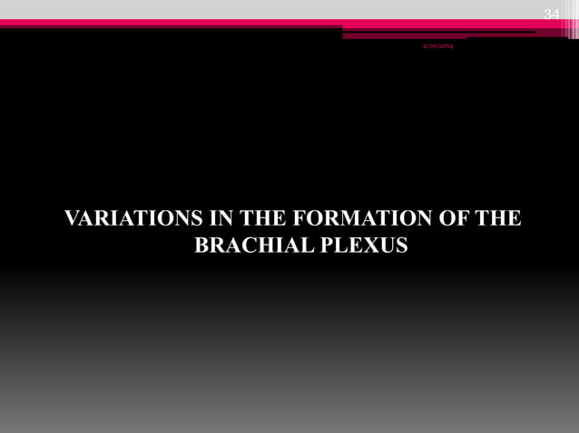 Brachial plexus (2) | PPT