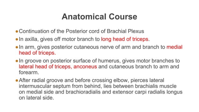 Brachial plexus and peripheral nerve lesion { 1821-1830 }.pptx