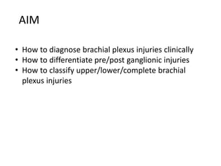 Brachial plexus injuries | PPTX