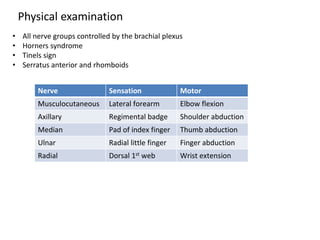 Brachial plexus | PPT