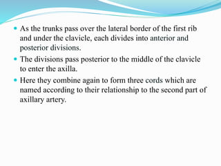 Brachial plexus block by PNS and ultrasound guided block | PPTX