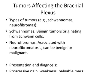 Brachial_Plexus_Differential_Diagnosis_Detailed (1).pptx