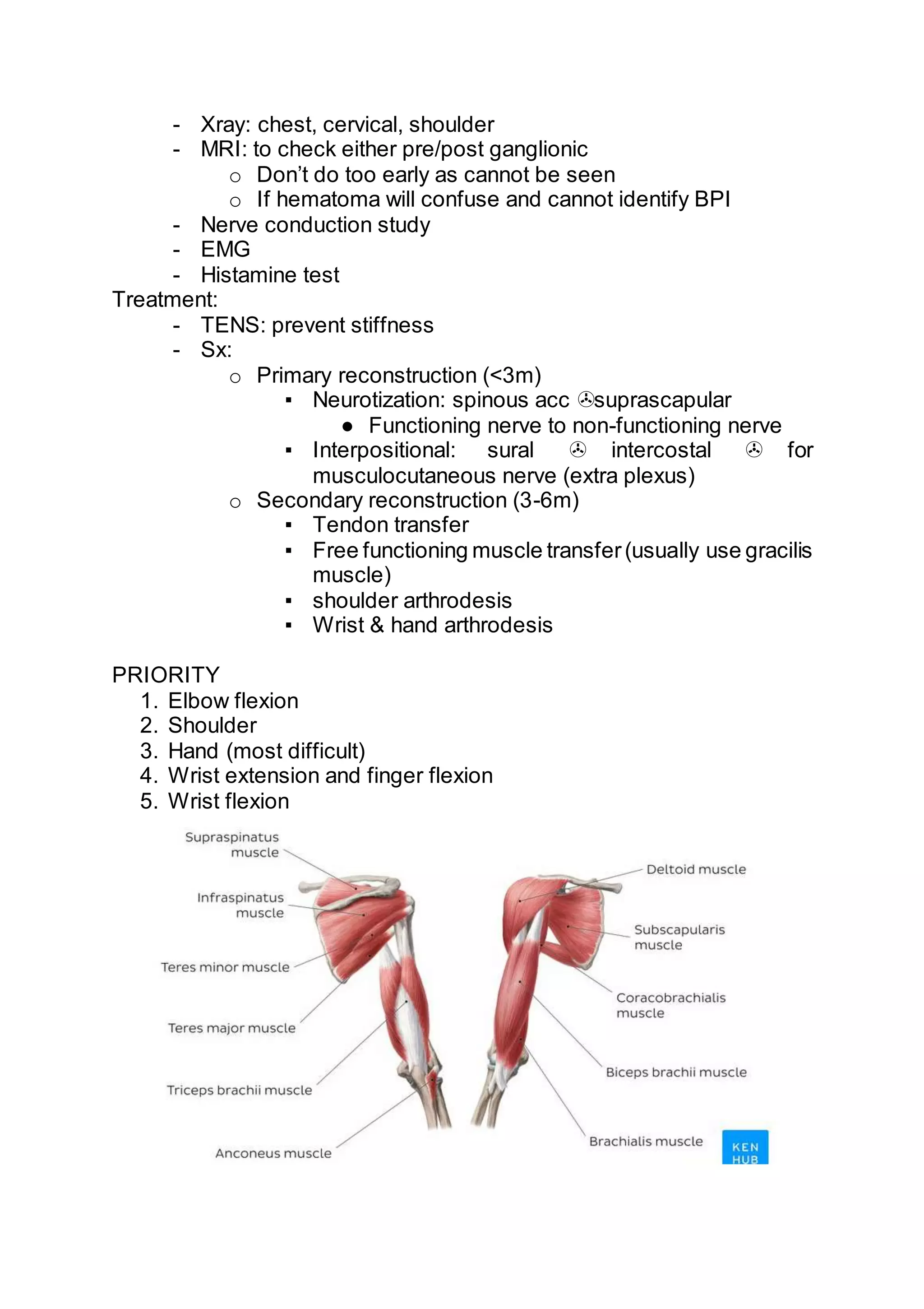Brachial plexus examination | DOCX