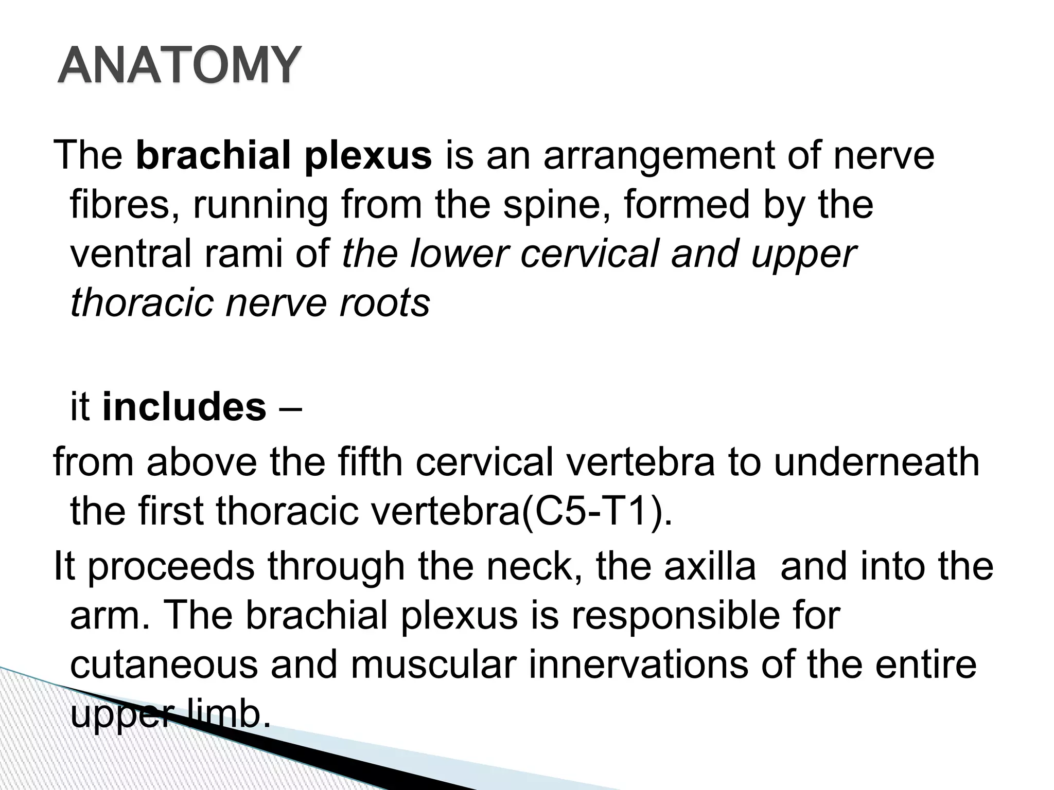 brachial plexus final.pptx