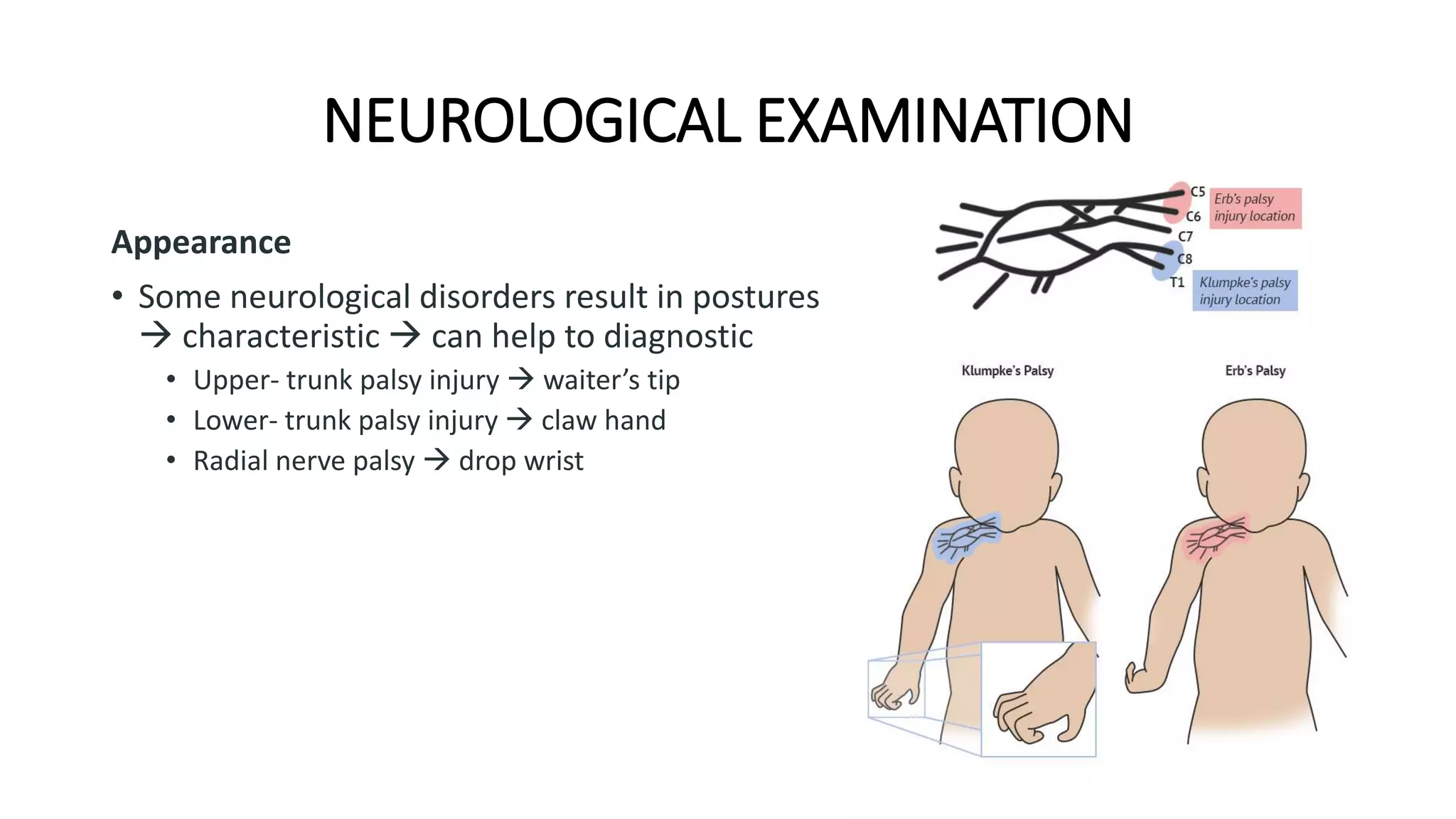 BRACHIAL PLEXUS INJURIES.pptx
