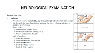 BRACHIAL PLEXUS INJURIES.pptx