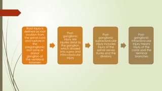 brachial plexus injuries and diagnosis with management | PPTX