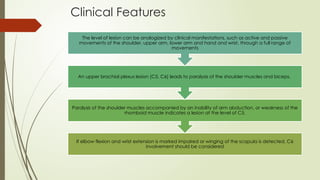 brachial plexus injuries and diagnosis with management | PPTX