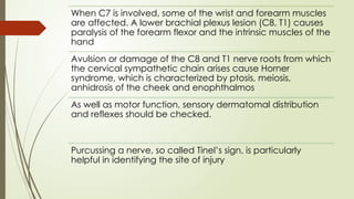 brachial plexus injuries and diagnosis with management | PPTX