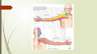 brachial plexus injuries and diagnosis with management | PPTX
