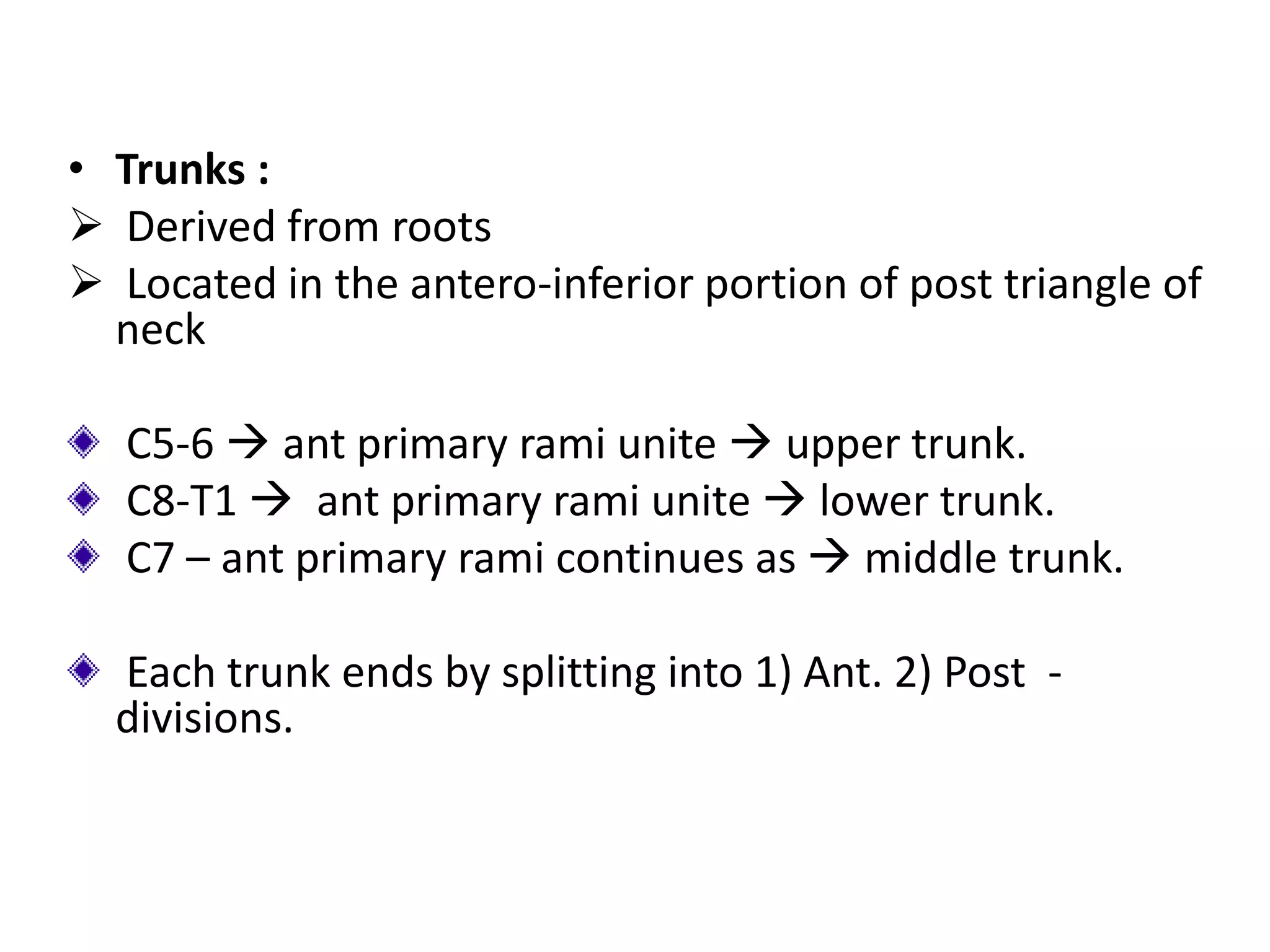 Brachial plexus injuries | PPTX