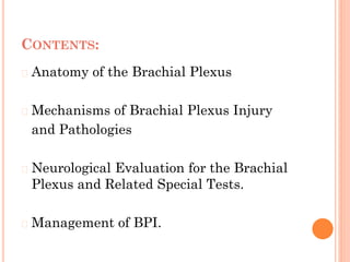 Brachial Plexus injuries (2).pptx