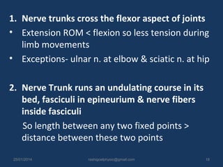 Brachial plexus injuries by Dr. Rashi Goel PT | PPT
