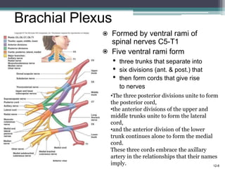 Brachial plexus injuries .pptx