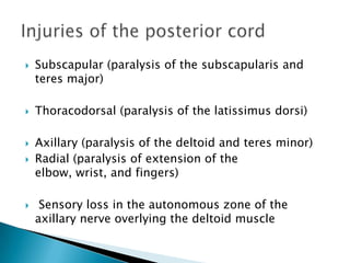 Brachial plexus injury | PPTX
