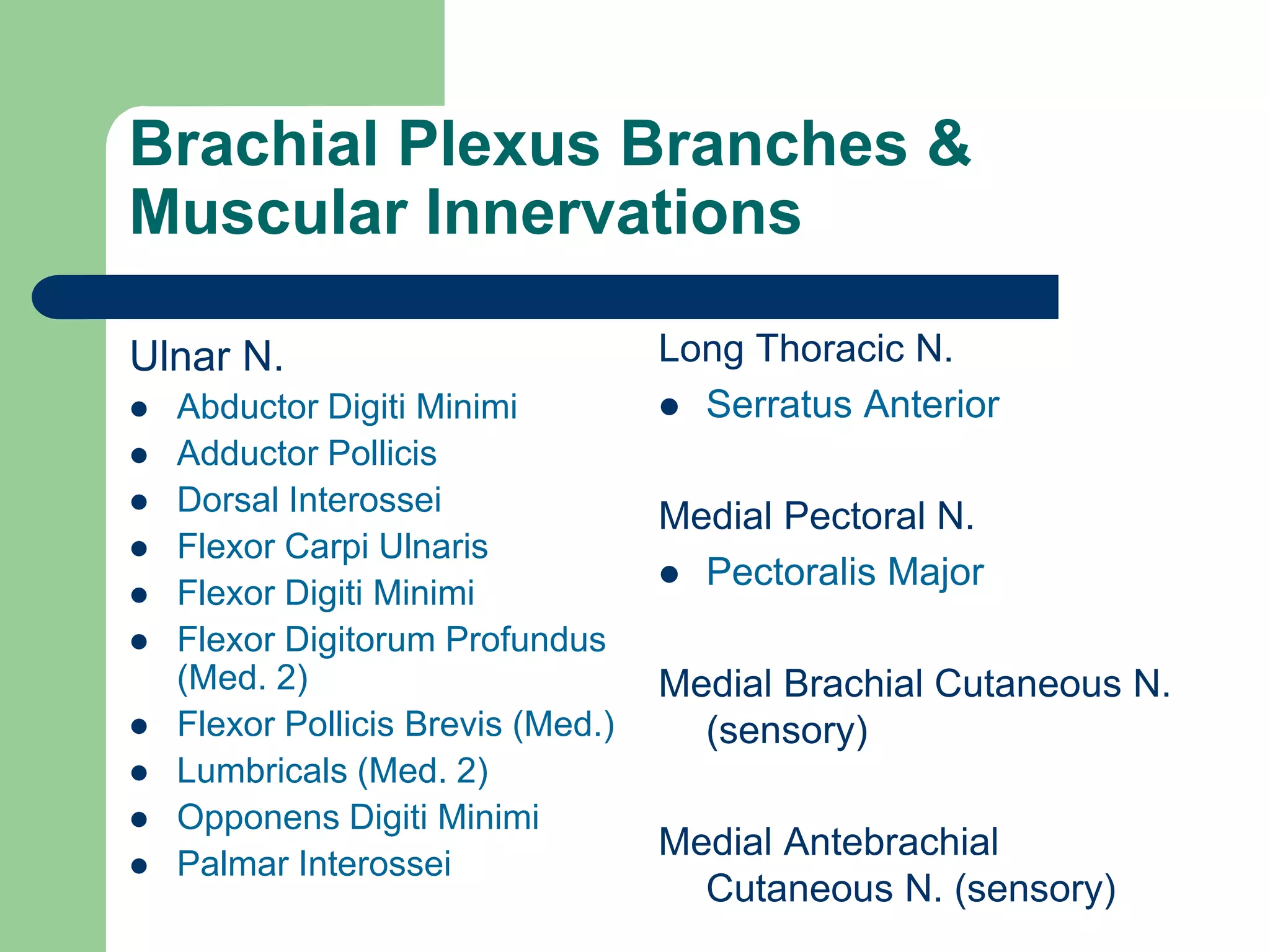 Brachial plexus injury | PPT