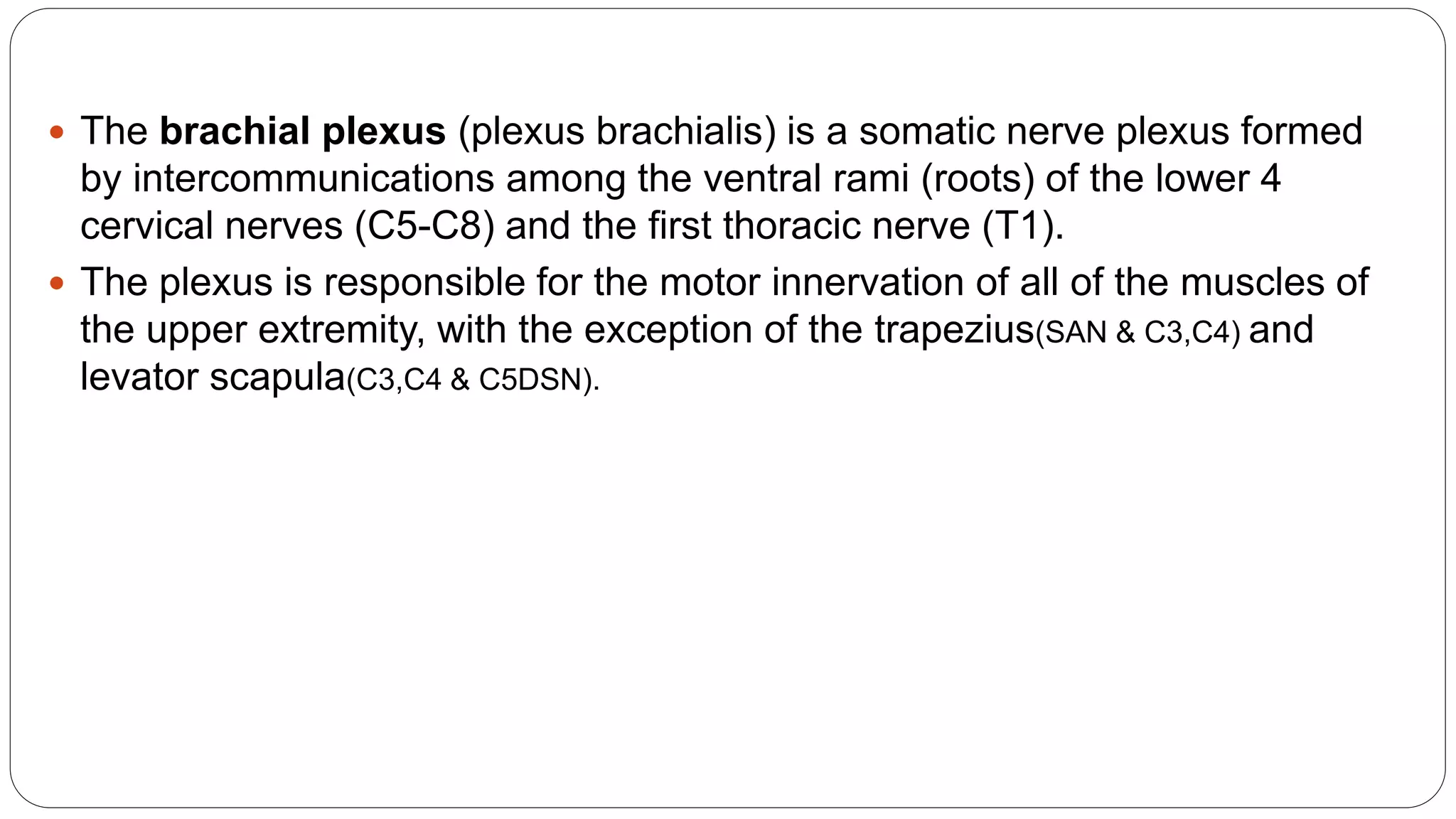 Brachial plexus injury | PPTX
