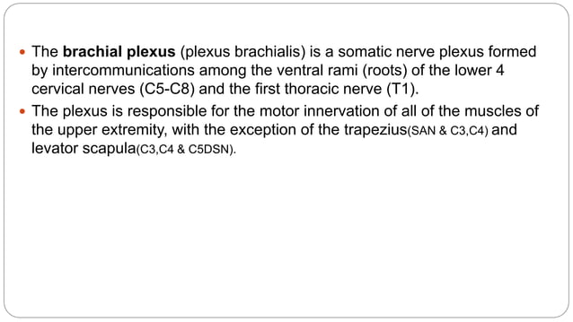 Brachial plexus injury | PPTX | First Aid | Injuries