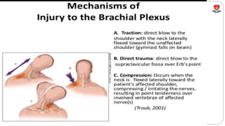 Brachial plexus injury | PPTX