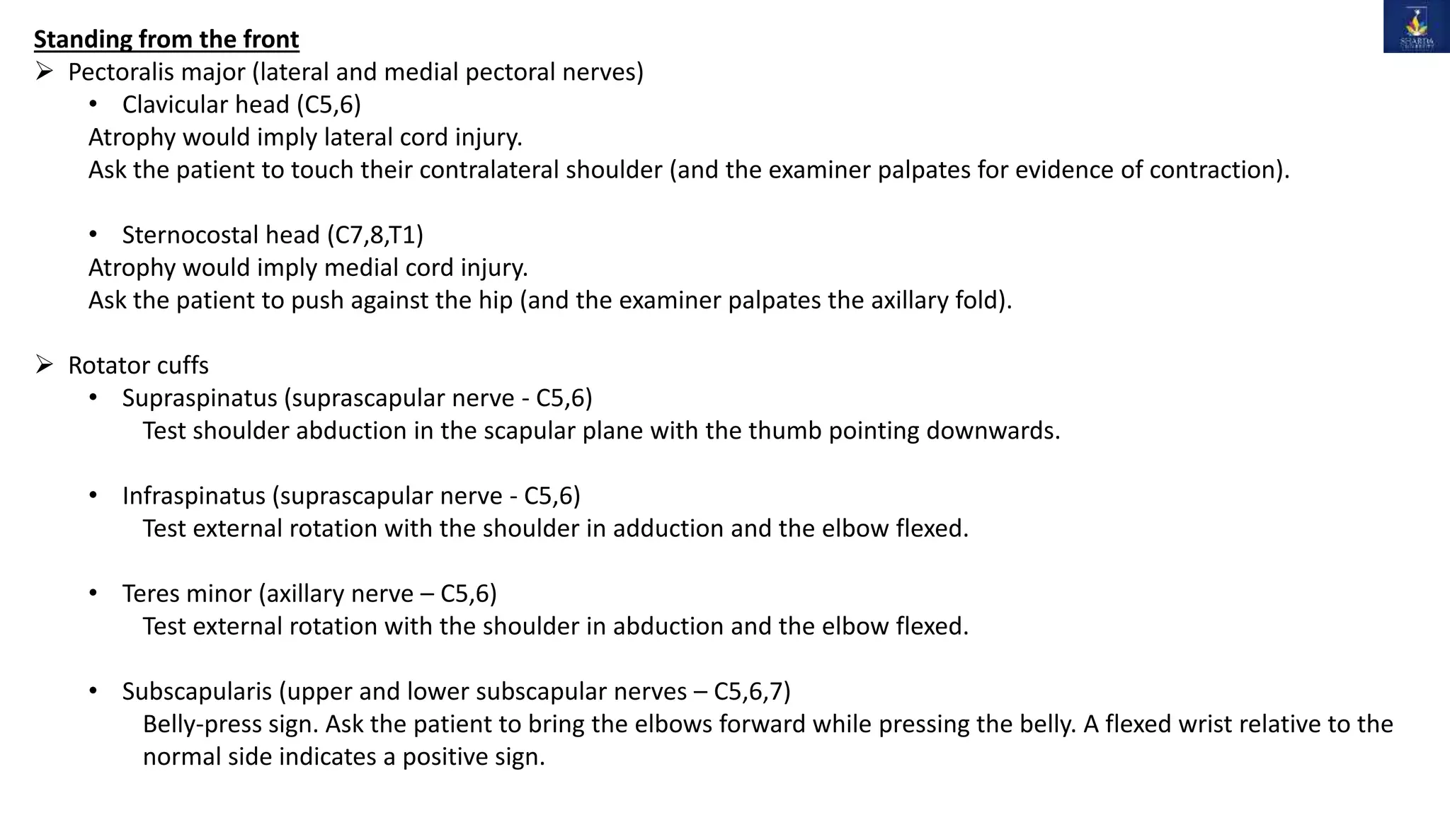 Brachial Plexus Injury | PPTX