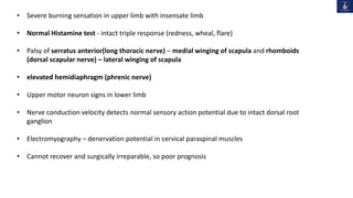 Brachial Plexus Injury | PPTX