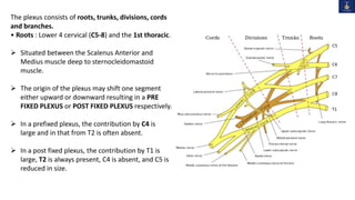 Brachial Plexus Injury | PPTX