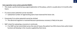 Brachial Plexus Injury | PPTX