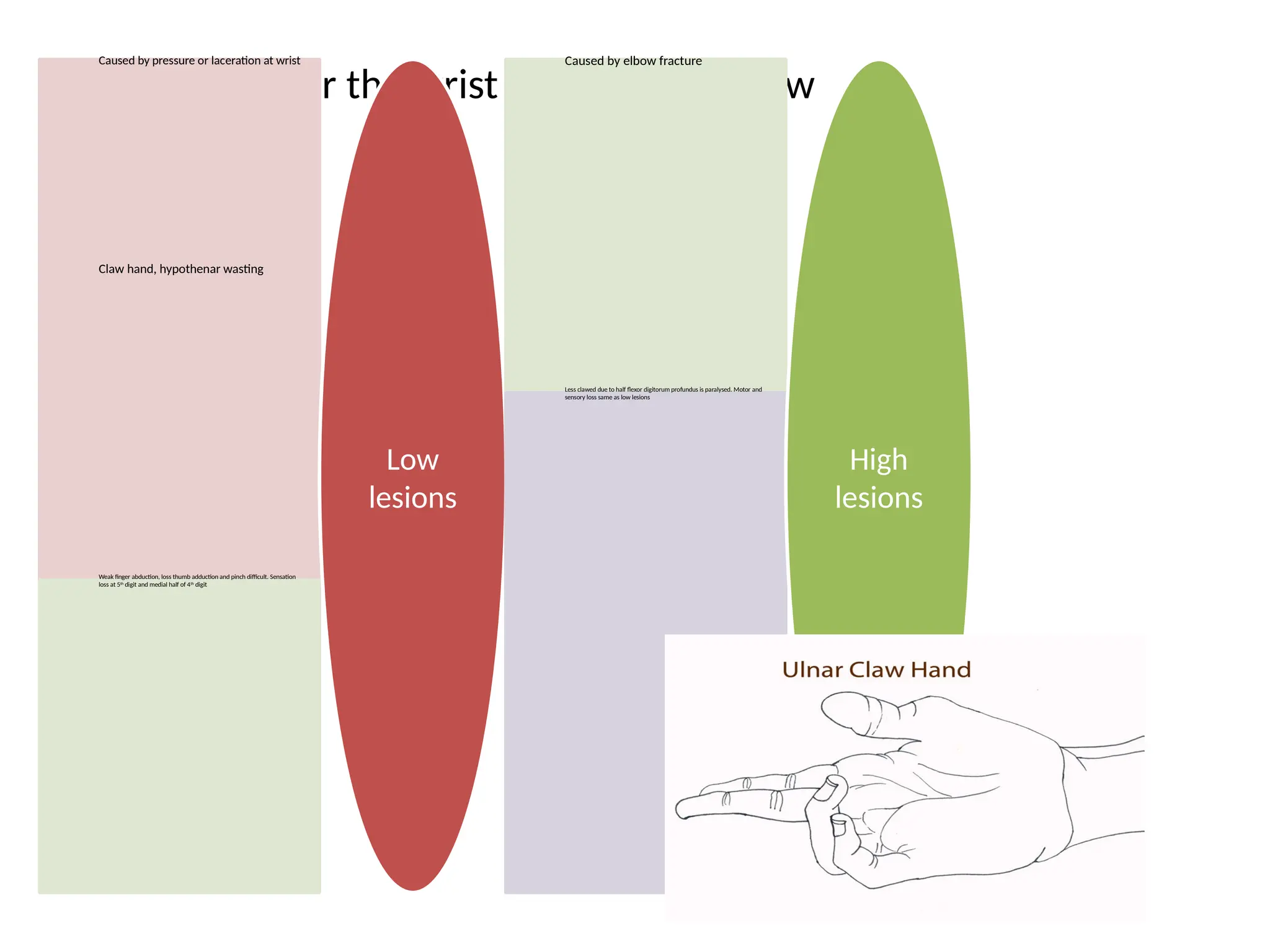 Brachial plexus and peripheral nerve injuryinjury.pptx