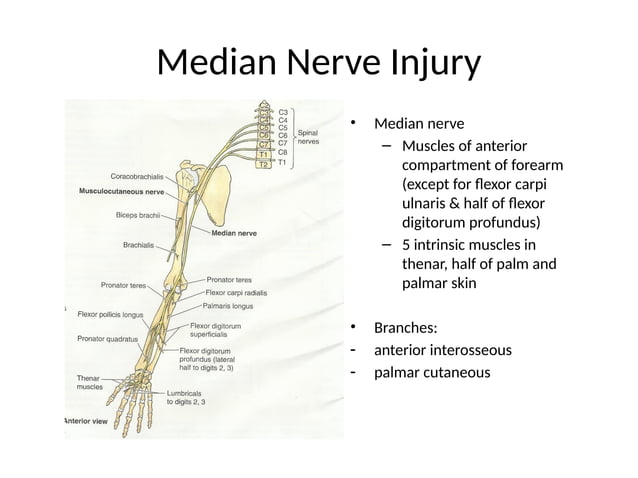 Brachial plexus and peripheral nerve injuryinjury.pptx