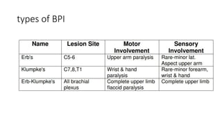 brachial plexus injury rehabilitation .PPTX