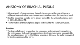 BRACHIAL PLEXUS INJURY by Dr Saiful.pptx
