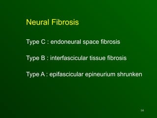 brachial plexus injury management ortho.ppt