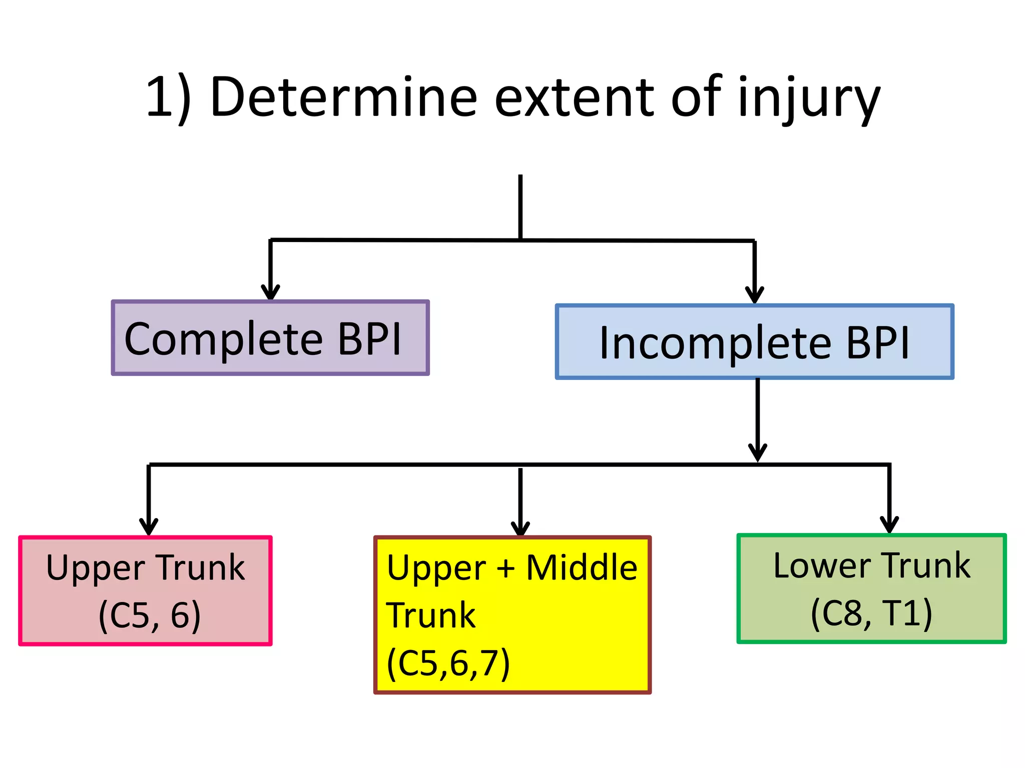 Brachial plexus injury | PPTX