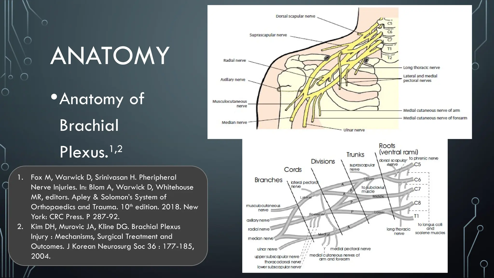 Brachial Plexus Injury Brachial Plexus Injury .pptx | Death, Injury, or ...