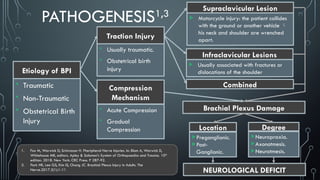 Brachial Plexus Injury Brachial Plexus Injury .pptx