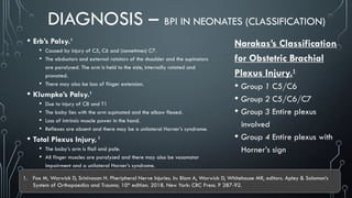 Brachial Plexus Injury Brachial Plexus Injury .pptx | Death, Injury, or ...