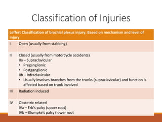 BRACHIAL PLEXUS INJURY EDITED.pptx
