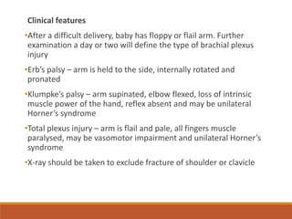 BRACHIAL PLEXUS INJURY EDITED.pptx