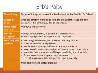 BRACHIAL PLEXUS INJURY EDITED.pptx
