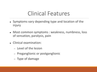 BRACHIAL PLEXUS INJURY EDITED.pptx