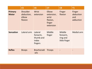 BRACHIAL PLEXUS INJURY EDITED.pptx