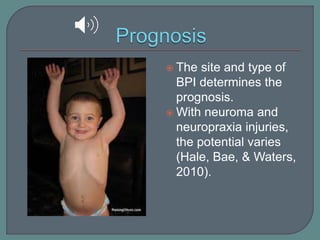 Brachial plexus injury | PPTX