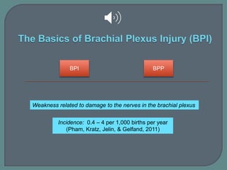 Brachial plexus injury | PPTX