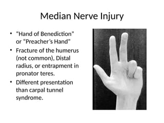 Brachial Plexus Lesions & Upper Extremity Nerves.pptx
