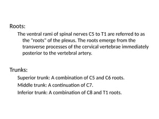 Brachial plexus(origin and course of radial, median.pptx