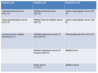 Brachial plexus(origin and course of radial, median.pptx