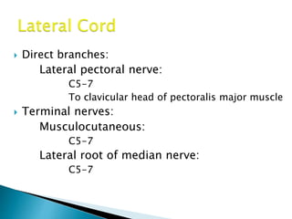 Brachial plexus ppt by dr. mittal lohar | PPTX